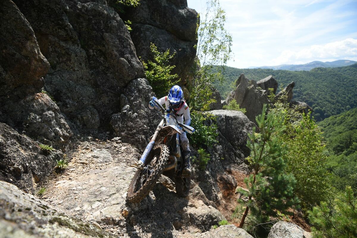 The stunning Wolf`s nest